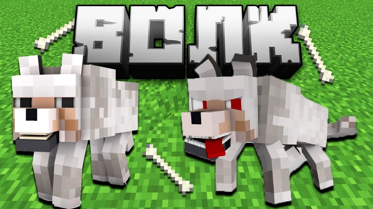 How to make Hostile wolf in Minecraft | Minecraft-Max.com