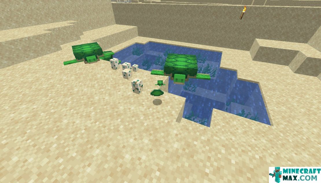 How To Make Turtle Shell In Minecraft Minecraft Max